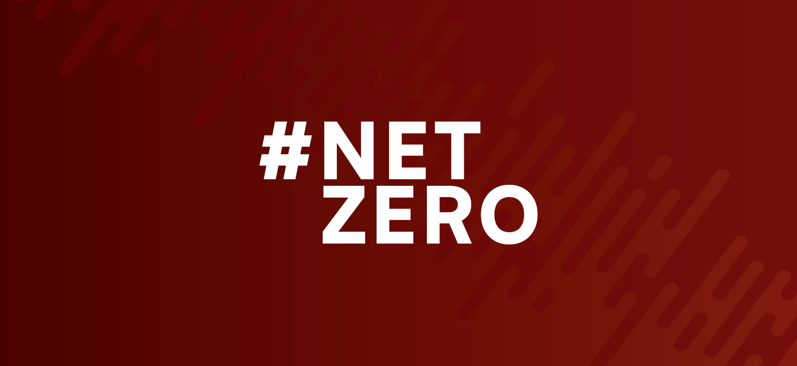 Our Road To #NetZero 2050 - CDS