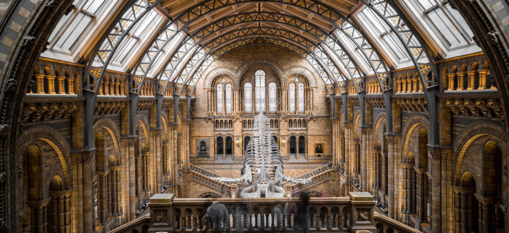 Fire Safety in Heritage Sites: CDS & Obsequio Group's Vital Role - CDS